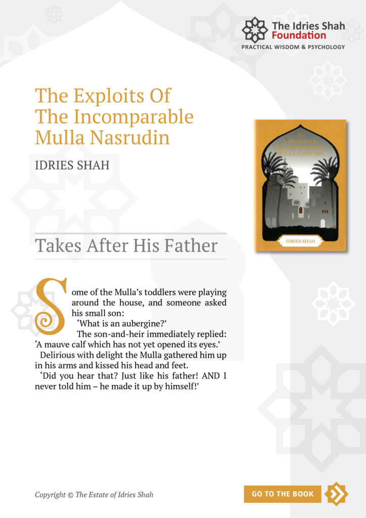 Takes After His Father from The Exploits of the Incomparable Mulla ...